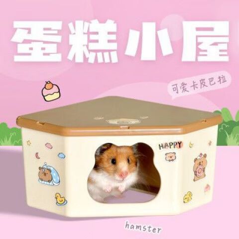 仓鼠星球为什么打开不了