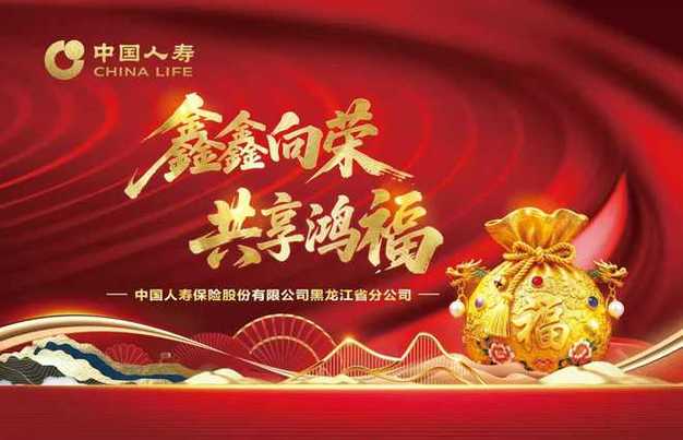 中国人寿分红险险种截图