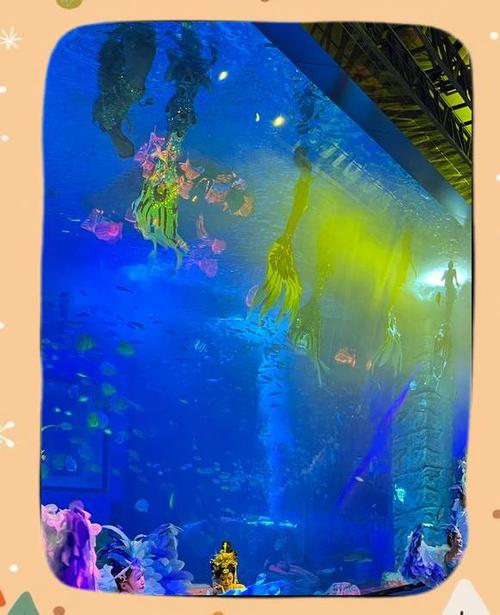 深圳海洋奇幻馆图标