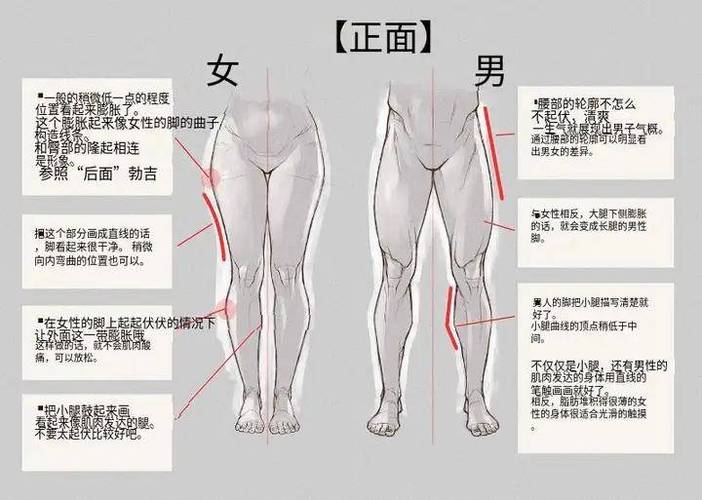 怎么通过腿型分辨男女截图