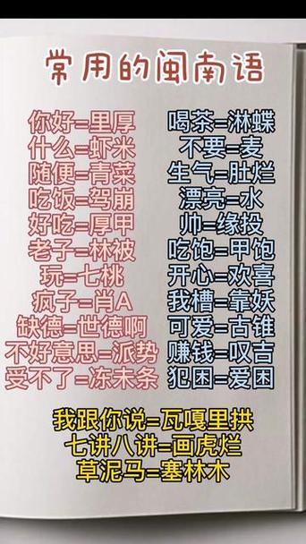 方言翻译图标