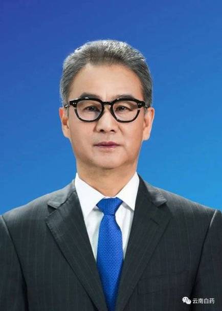 云南省医药有限公司董事长截图