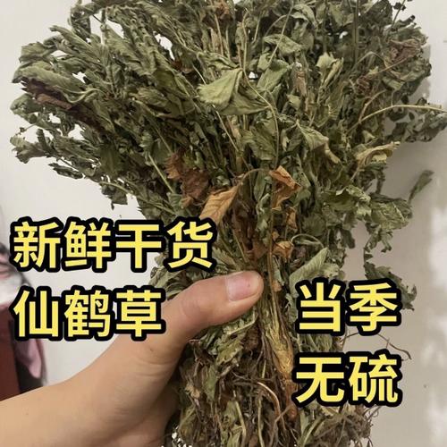 仙鹤草药材有什么功效图标