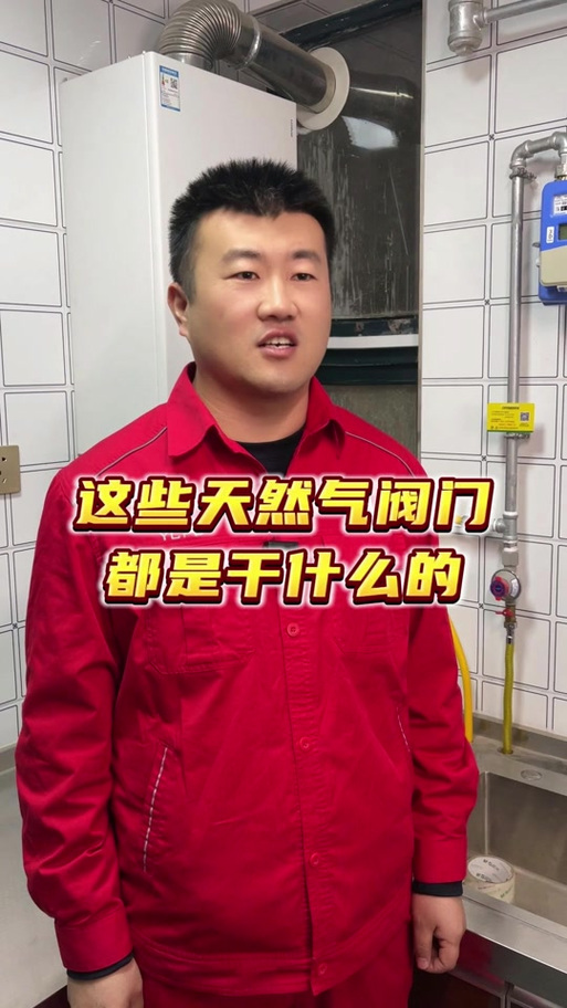 燃气表上红色按钮按几次图标