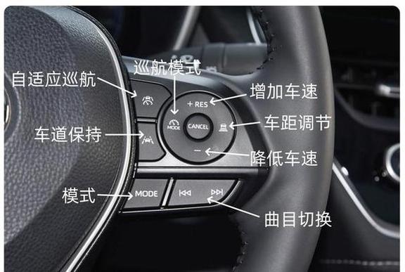 全速自适应巡航的害处图标