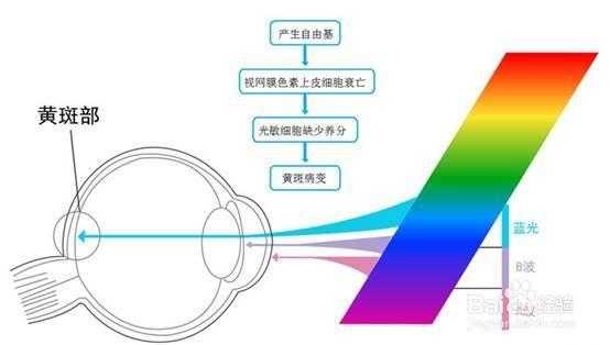 防辐射和防蓝光有什么区别图标