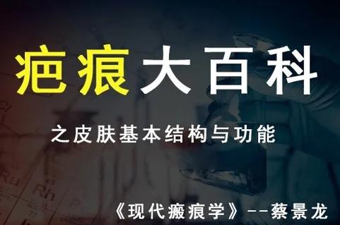 人体的最大器官一皮肤阅读答案截图