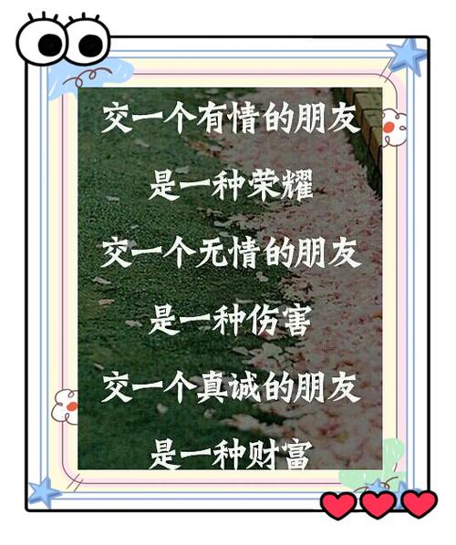 真心聊陌生交友软件图标