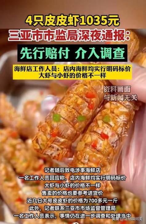 皮皮虾加v有钱赚吗图标