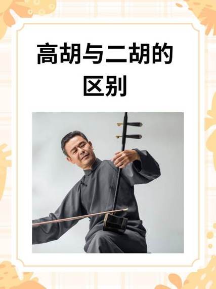 二胡什么材质的音色好图标