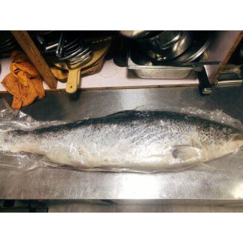 新鲜三文鱼可以冷冻吗图标