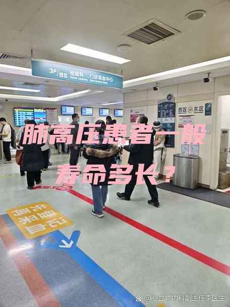 肺高压一般寿命多少年缩略图