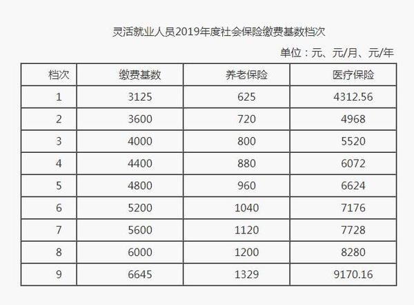 社保费缴纳图标