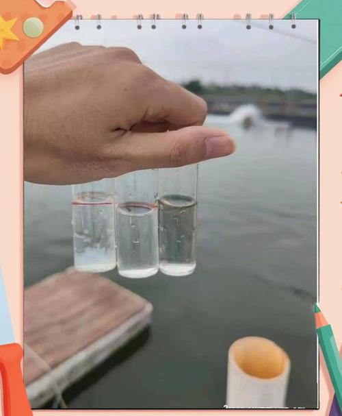 水深不足25cm,透明度如何写截图