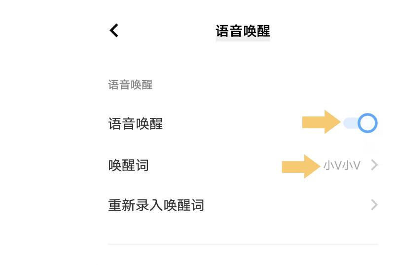 vivo手机怎样语音唤醒小v图标