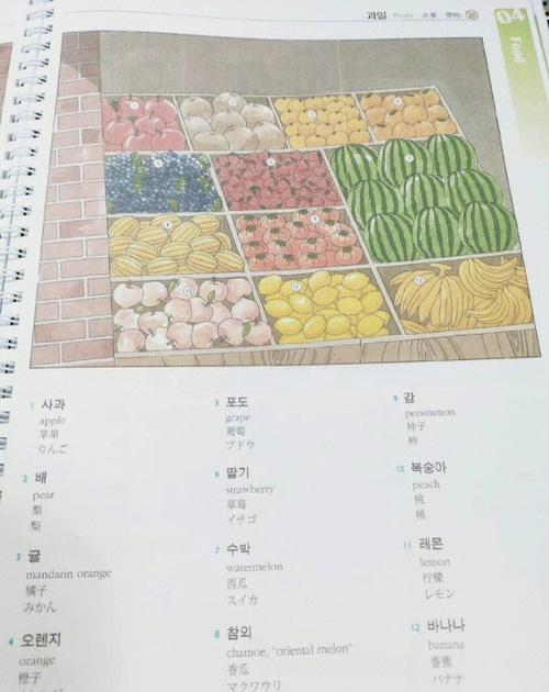 韩语单词书用哪本比较好截图