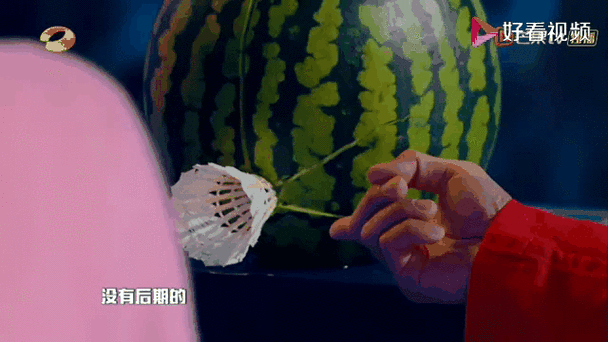 西瓜看球免费直播图标