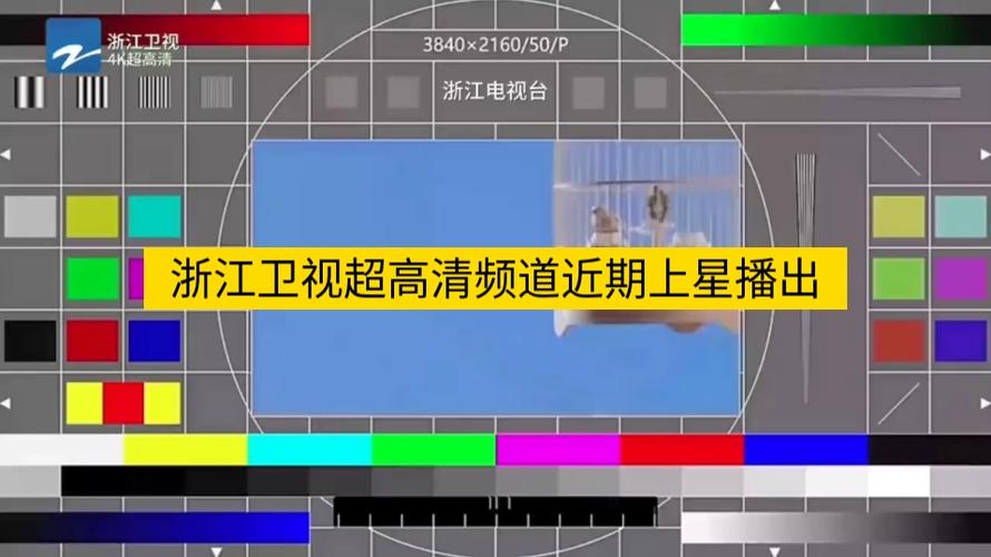 浙江卫视6频道直播在线观看图标