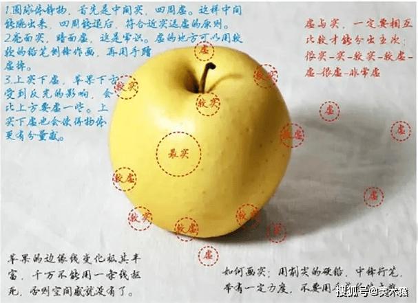 水果的结构层次图标