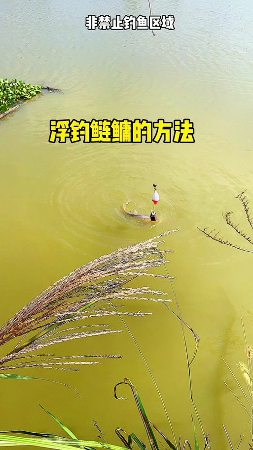 钓浮方法图解大全截图