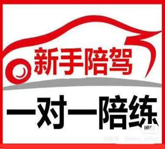 新手开自动挡需要陪驾吗图标