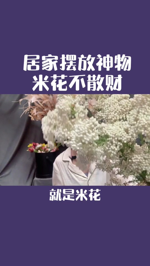 米花是啥意思截图