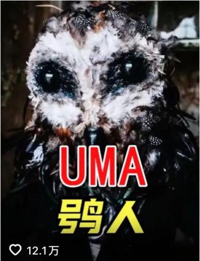 捕获未知生物汉化版图标