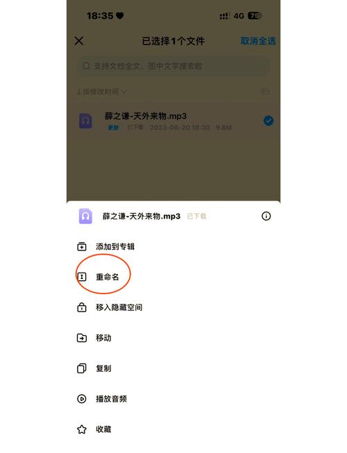 如何下载真正的轩云图标