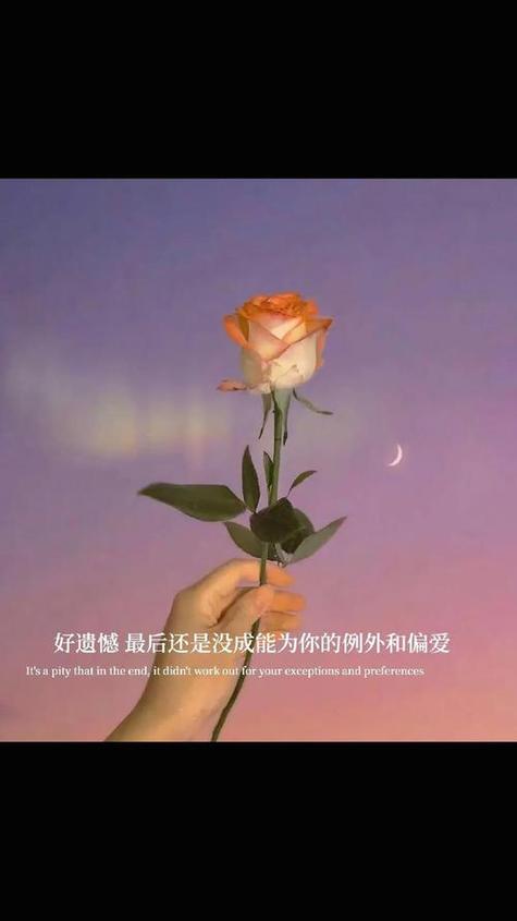 好的感情是日出来的图标
