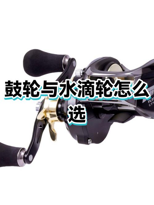 鼓轮好用还是水滴轮好用图标