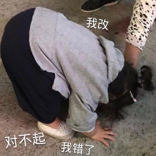 我错了图片 表情包截图
