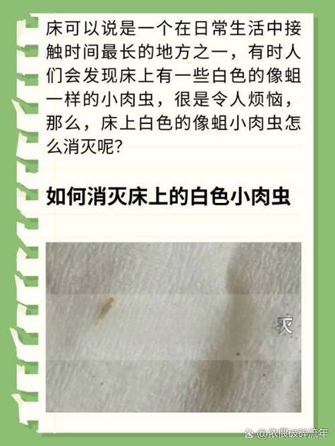 床上出现特别小的虫子图标