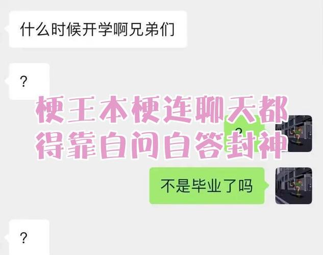 梗王啥意思截图