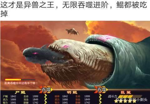养鲲怎么刷10亿钻石截图
