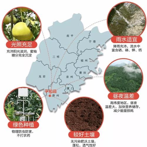 什么地方的柚子最甜图标