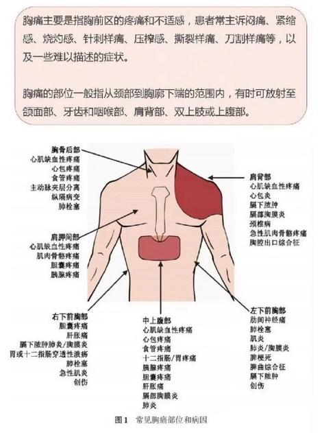 男性右侧疼痛对照表图标