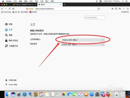 苹果网页怎么设置电脑版截图