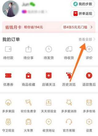 拼多多哪里查看消费总额图标