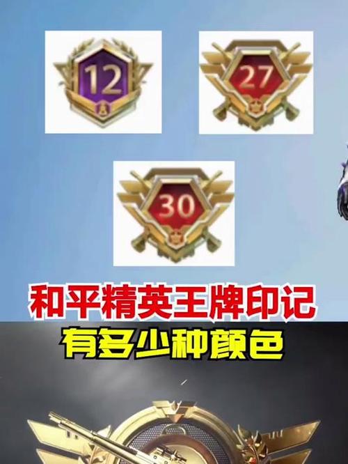 和平精英最高王牌印记图标