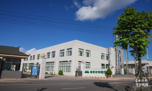 绿野集团图标