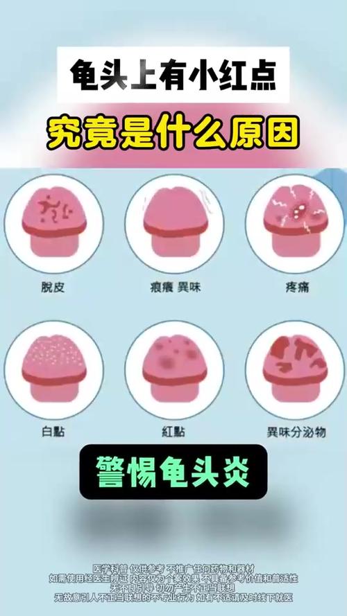 龟的头边上有小红点是什么原因截图