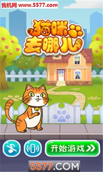 猫咪在哪下载图标