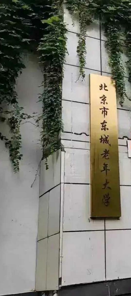 附近老年免费老年大学