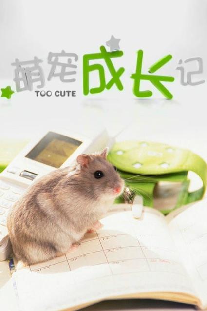 我想养的小动物图标