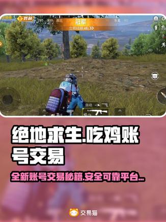 怎么查吃鸡账号截图