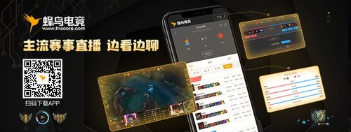 电竞比分网-蜂鸟电竞图标