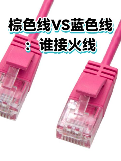 棕蓝两根线哪个是火线图标