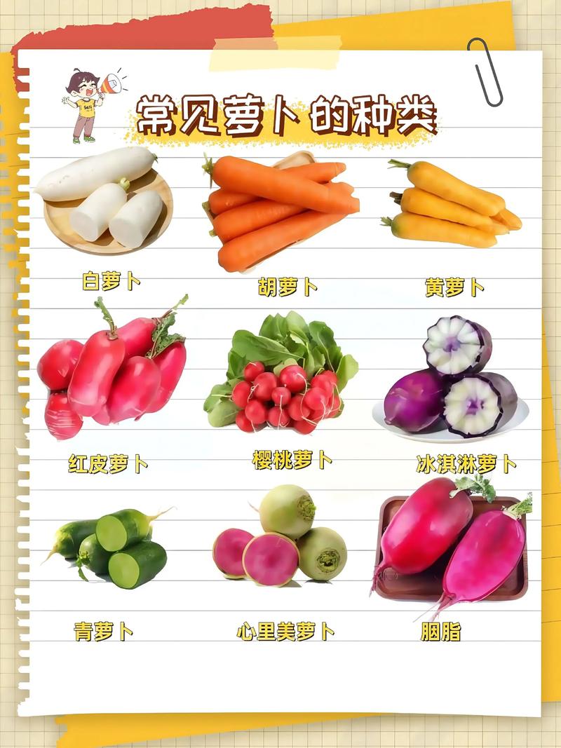 保卫萝卜2图鉴图标