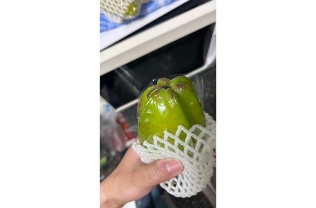 杨桃手机连接图标
