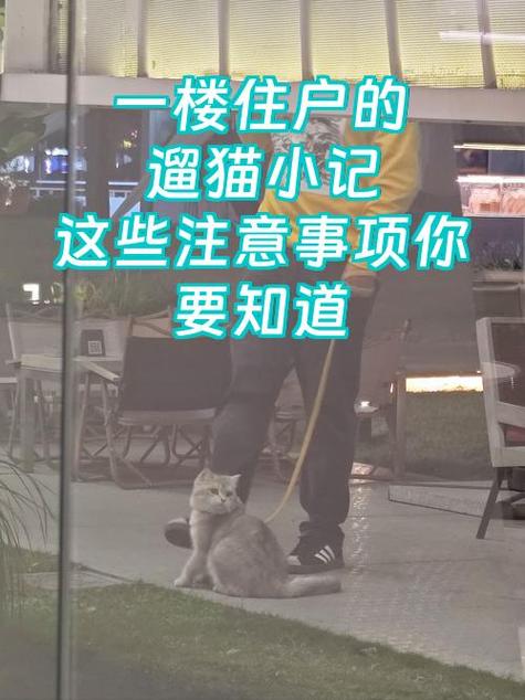 溜溜哒哒和遛遛哒哒区别图标